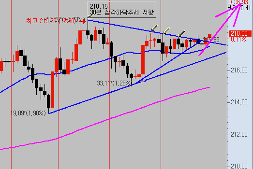 백리향의 시장읽기 소액투자자의 슬픈현실 선옵전문가분석 선물옵션 팍스넷 증권포털